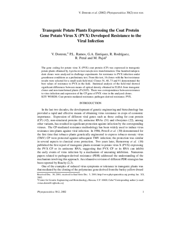 (PDF) Transgenic potato plants expressing the potato virus X (PVX) coat ...