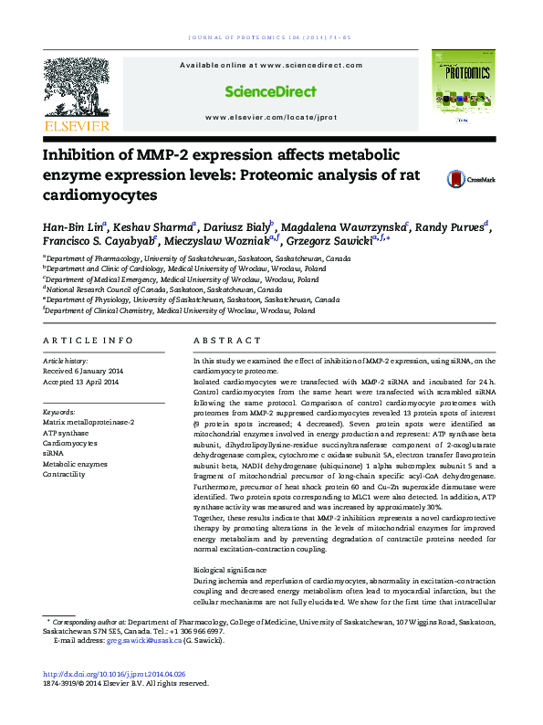(PDF) Inhibition of MMP-2 expression affects metabolic enzyme ...