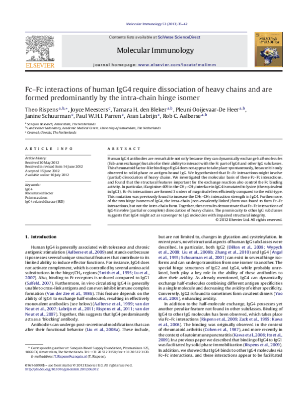 (PDF) Fc–Fc interactions of human IgG4 require dissociation of heavy ...