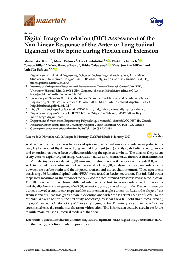 (PDF) Digital Image Correlation (DIC) Assessment of the Non-Linear ...