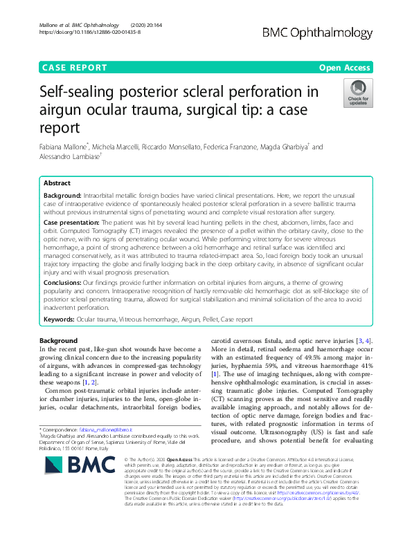 (PDF) Self-sealing posterior scleral perforation in airgun ocular ...