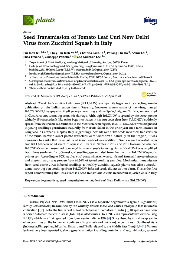 (PDF) Seed Transmission of Tomato Leaf Curl New Delhi Virus from Zucchini Squash in Italy