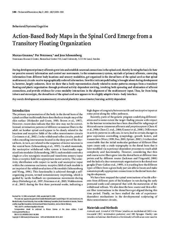 (PDF) Action-Based Body Maps in the Spinal Cord Emerge from a ...