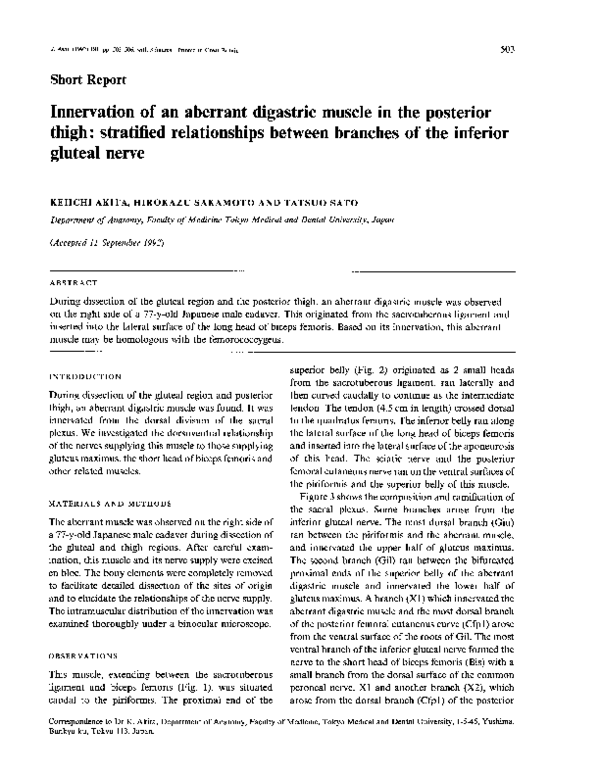 (PDF) Innervation of an aberrant digastric muscle in the posterior ...