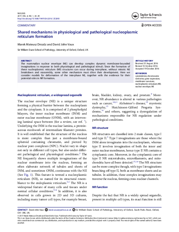 (PDF) Shared mechanisms in physiological and pathological nucleoplasmic ...