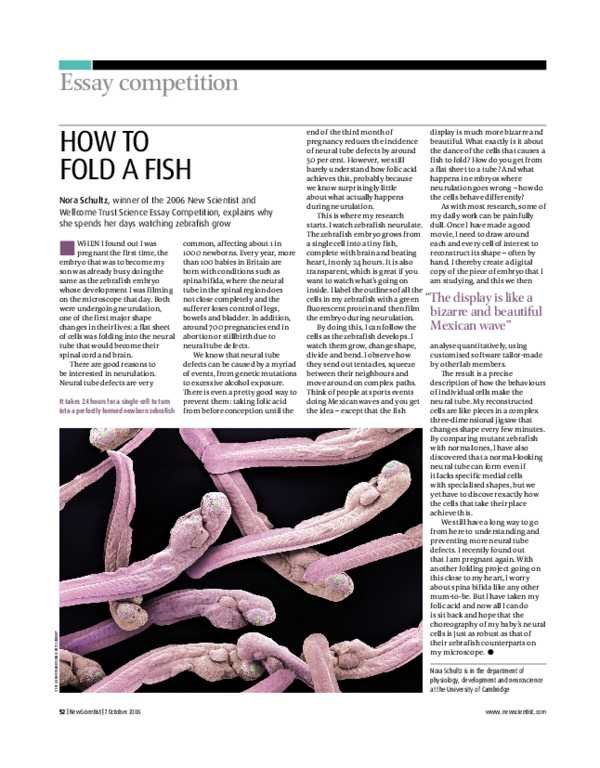 (PDF) How to fold a fish | Nora Schultz - Academia.edu