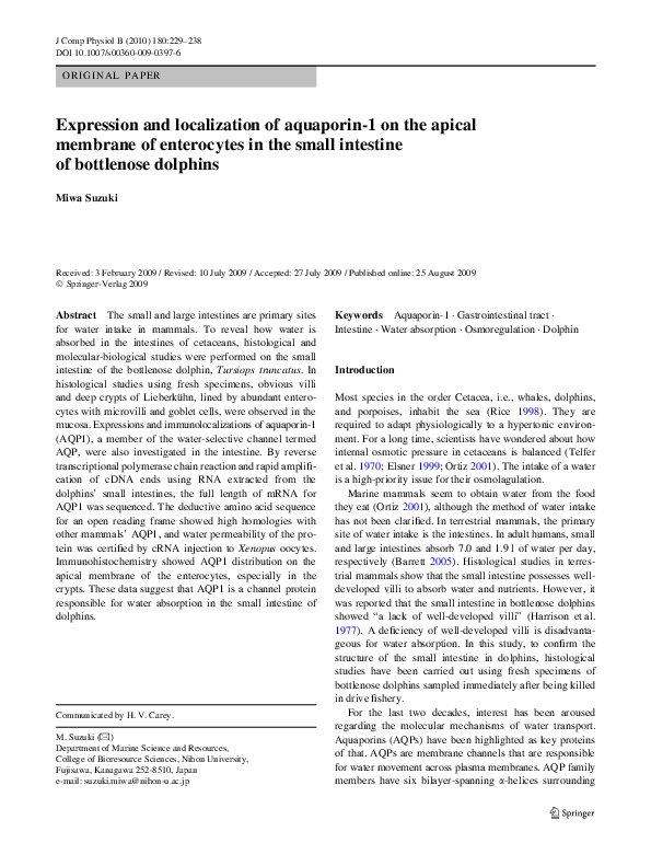 (PDF) Expression and localization of aquaporin-1 on the apical membrane ...