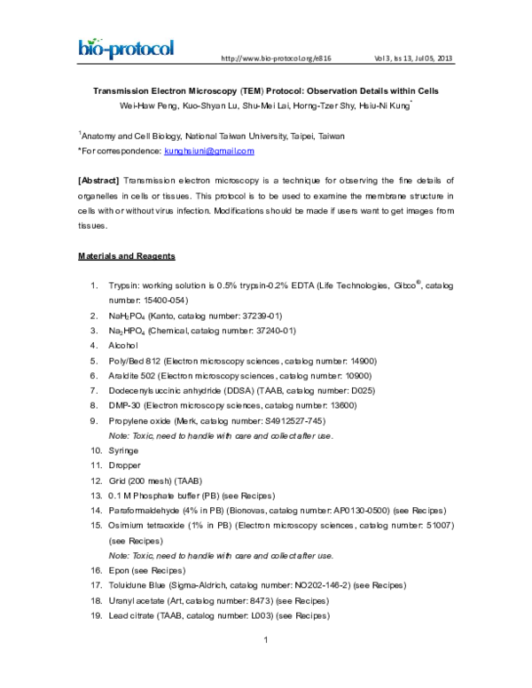 (PDF) Transmission Electron Microscopy (TEM) Protocol: Observation ...