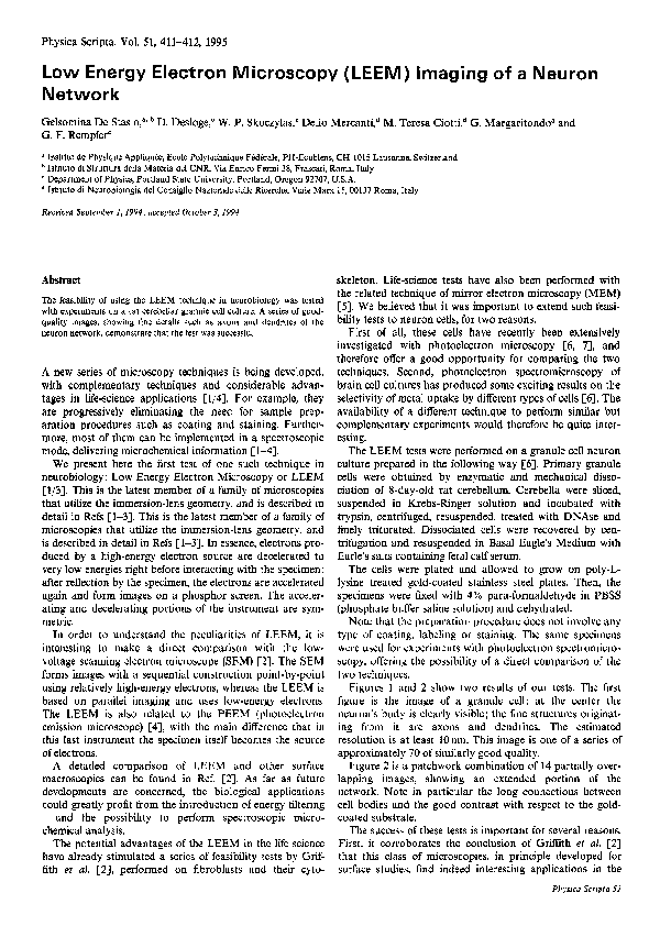 (PDF) Low Energy Electron Microscopy (LEEM) imaging of a neuron network