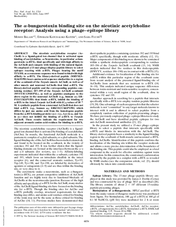 (PDF) The α-bungarotoxin binding site on the nicotinic acetylcholine ...