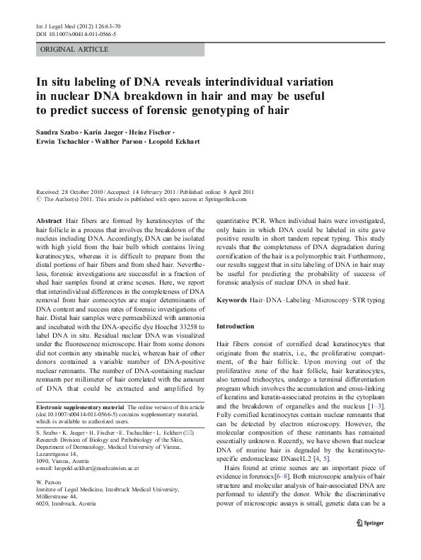 (PDF) In situ labeling of DNA reveals interindividual variation in ...
