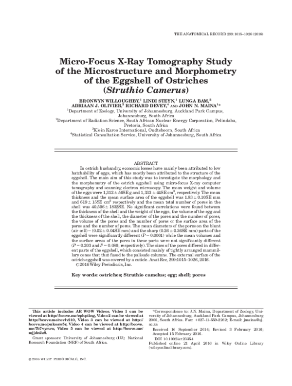 (PDF) Micro-focus X-Ray Tomography Study of the Microstructure and ...