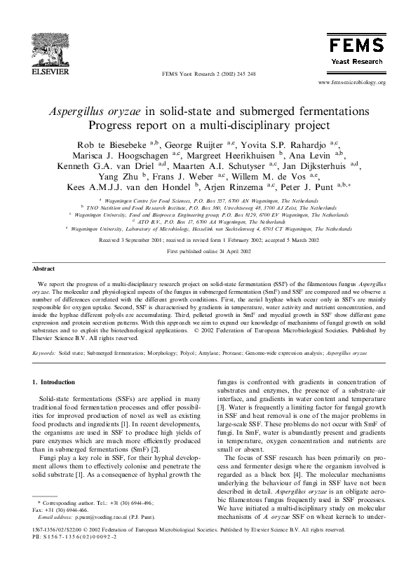 (PDF) Aspergillus oryzae in solid-state and submerged fermentations