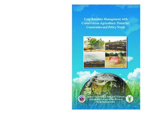 (PDF) Crop Residues Management with Conservation Agriculture: Potential, Constraints and Policy ...