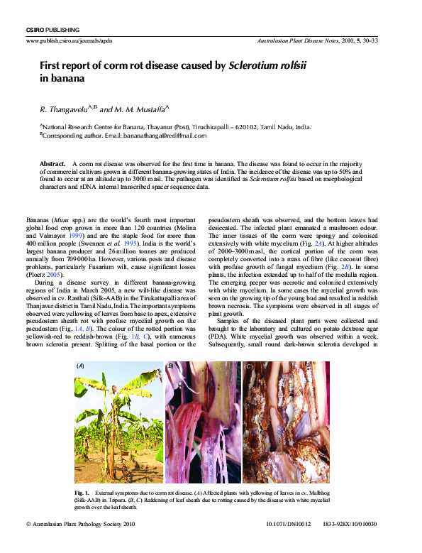 (PDF) First report of corm rot disease caused by Sclerotium rolfsii in ...