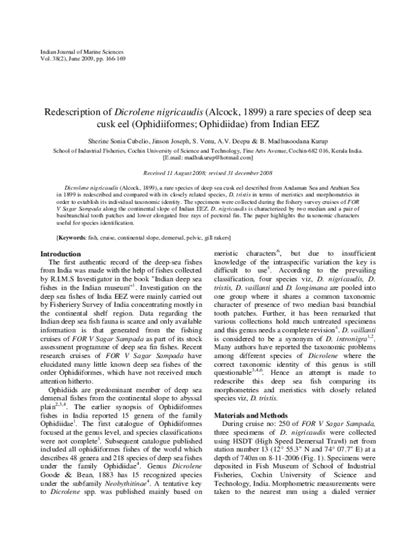 (PDF) Redescription of Dicrolene nigricaudis (Alcock, 1899) a rare ...