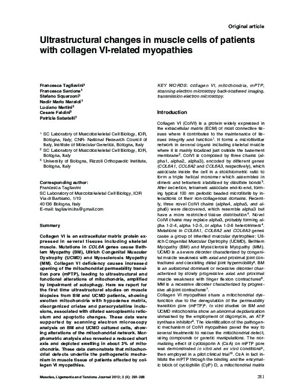 (PDF) Mitochondrial Changes in Collagen VI Myopathies