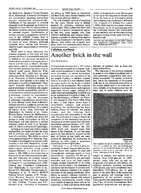 (PDF) Cellulose synthesis: Another brick in the wall