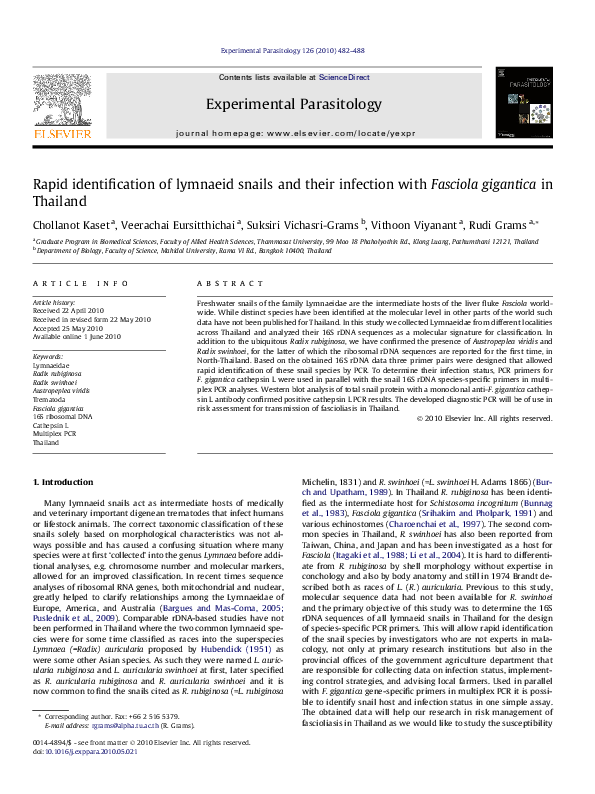 (PDF) Rapid identification of lymnaeid snails and their infection with ...