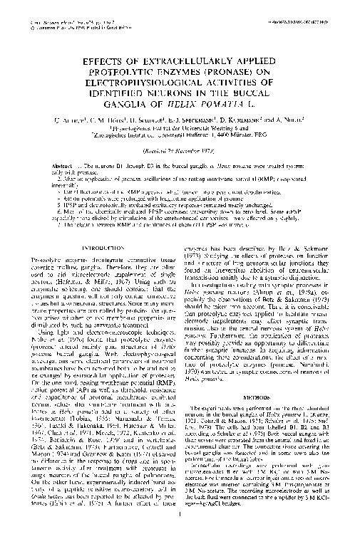 (PDF) Effects of extracellularly applied proteolytic enzymes (pronase ...