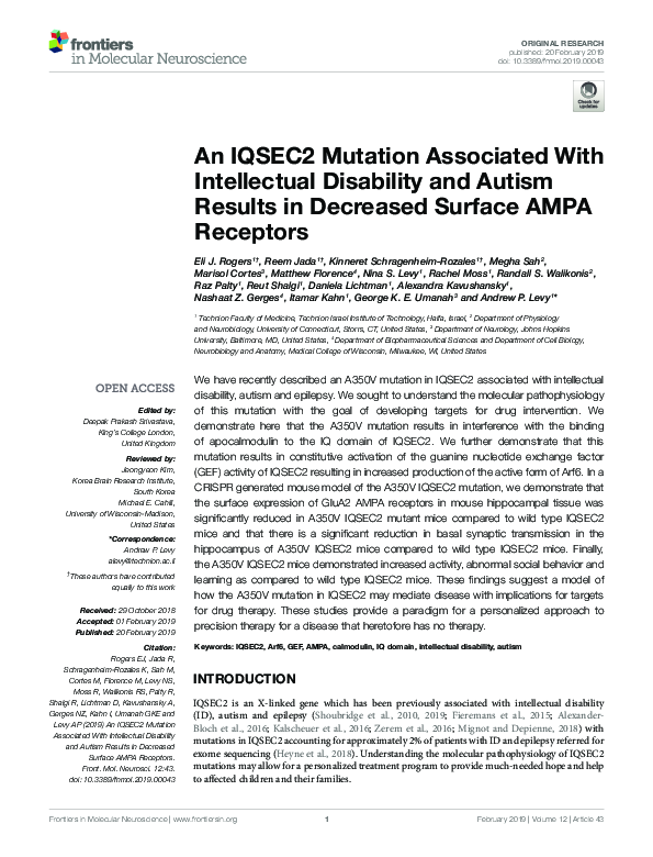 (PDF) An IQSEC2 Mutation Associated With Intellectual Disability and ...