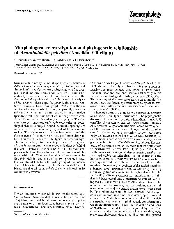 (PDF) Morphological reinvestigation and phylogenetic relationship of ...