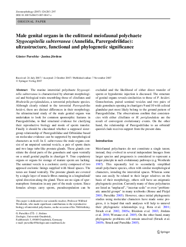 (PDF) Male genital organs in the eulittoral meiofaunal polychaete ...