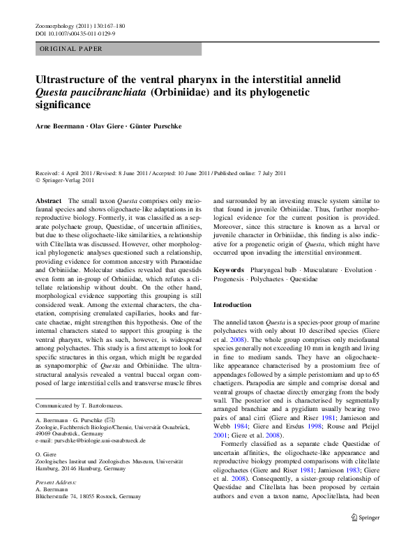 (PDF) Ultrastructure of the ventral pharynx in the interstitial annelid ...