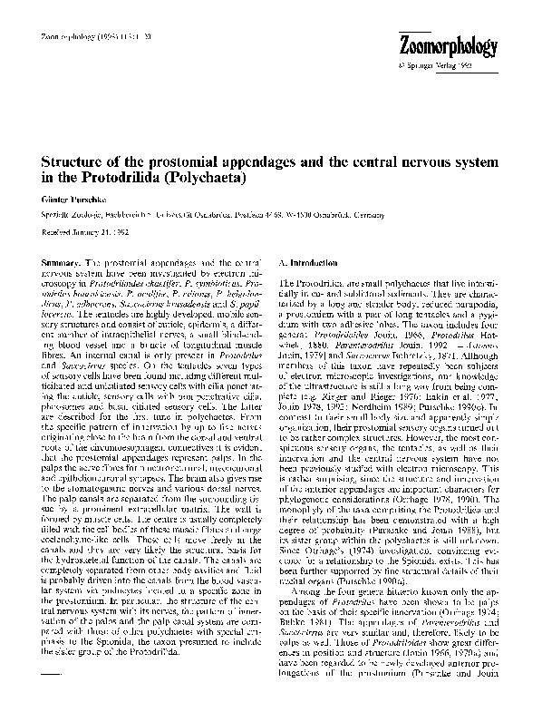 (PDF) Structure of the prostomial appendages and the central nervous ...