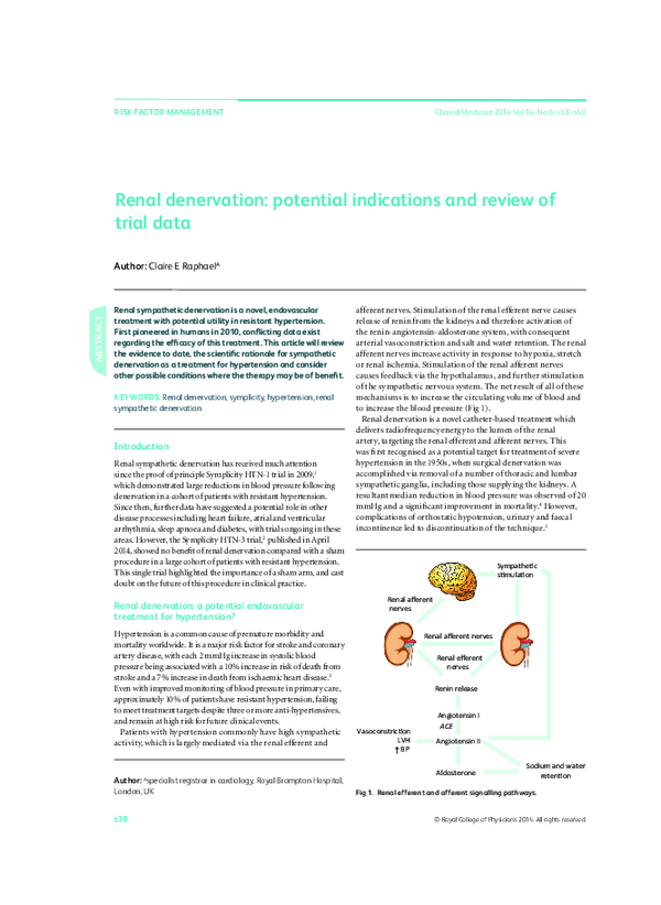 (PDF) Renal denervation: potential indications and review of trial data