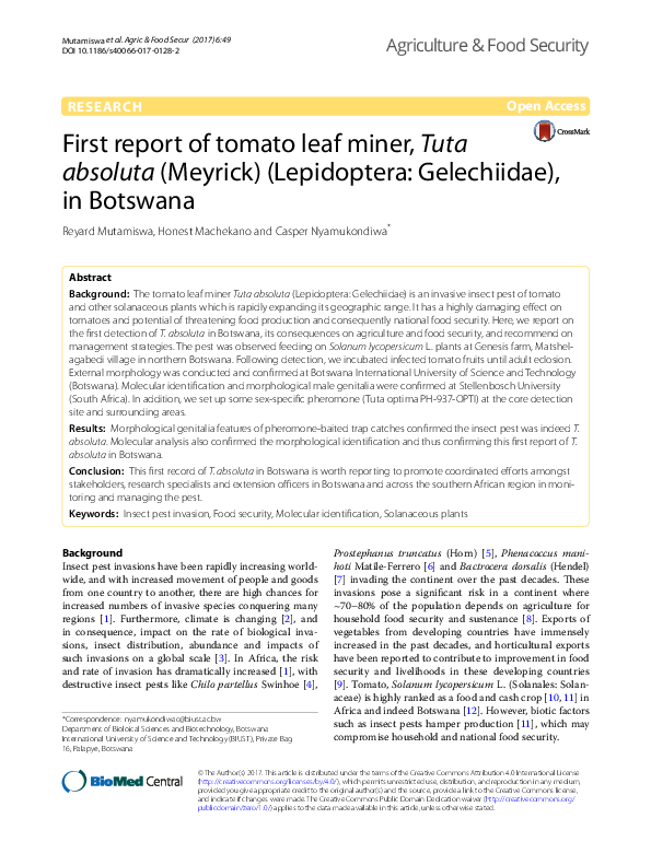 (PDF) First report of tomato leaf miner, Tuta absoluta (Meyrick) (Lepidoptera: Gelechiidae), in ...