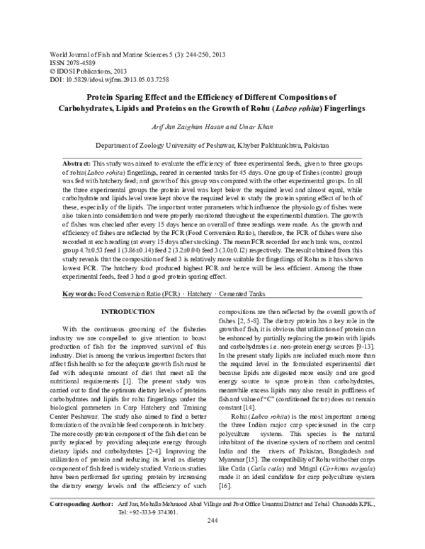 (PDF) Protein Sparing Effect and the Efficiency of Different ...