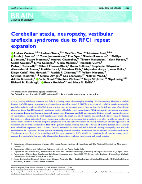 (PDF) Cerebellar ataxia, neuropathy, vestibular areflexia syndrome ...