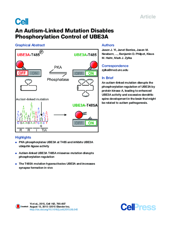 (PDF) An Autism-Linked Mutation Disables Phosphorylation Control of UBE3A