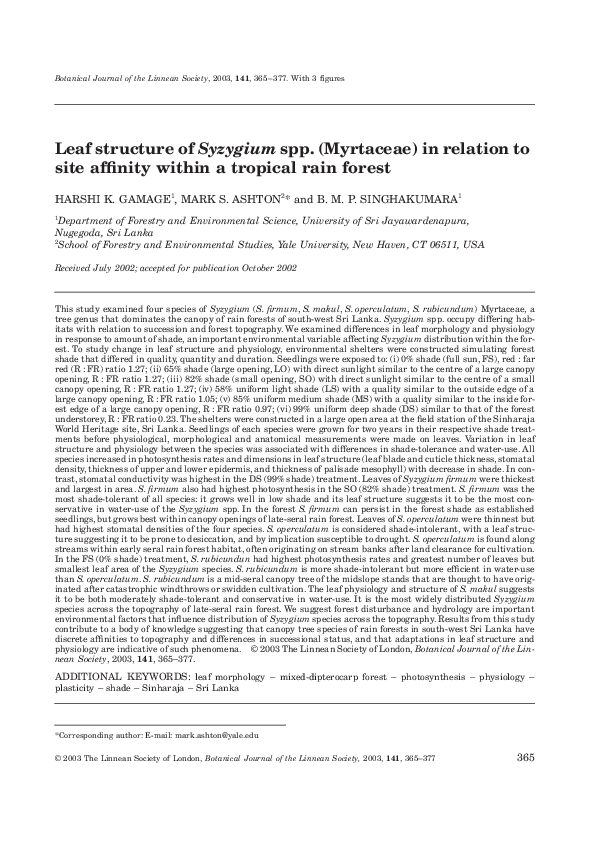 (PDF) Leaf structure of Syzygium spp. (Myrtaceae) in relation to site ...