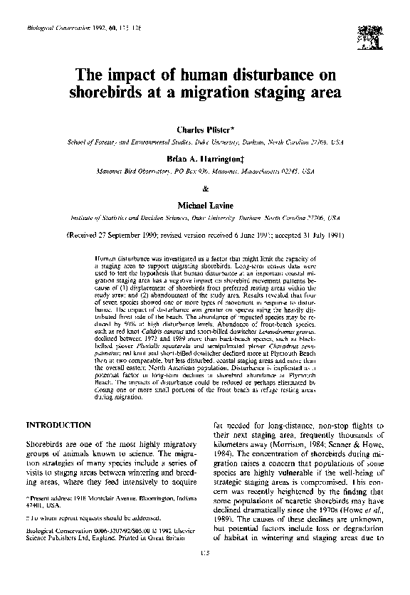 (PDF) The impact of human disturbance on shorebirds at a migration ...