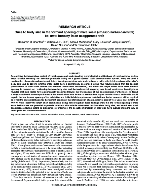(PDF) Cues to body size in the formant spacing of male koala ...