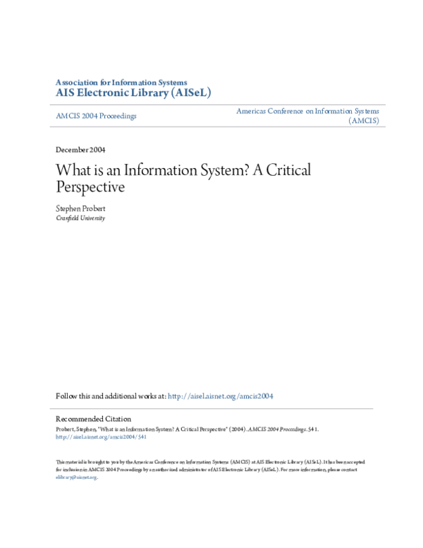 (PDF) What is an Information System? A Critical Perspective