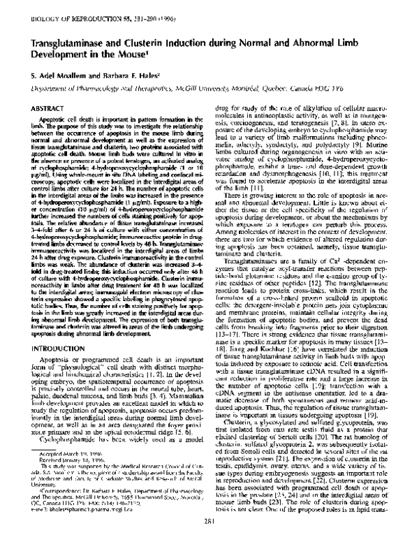 (PDF) Transglutaminase and clusterin induction during normal and ...