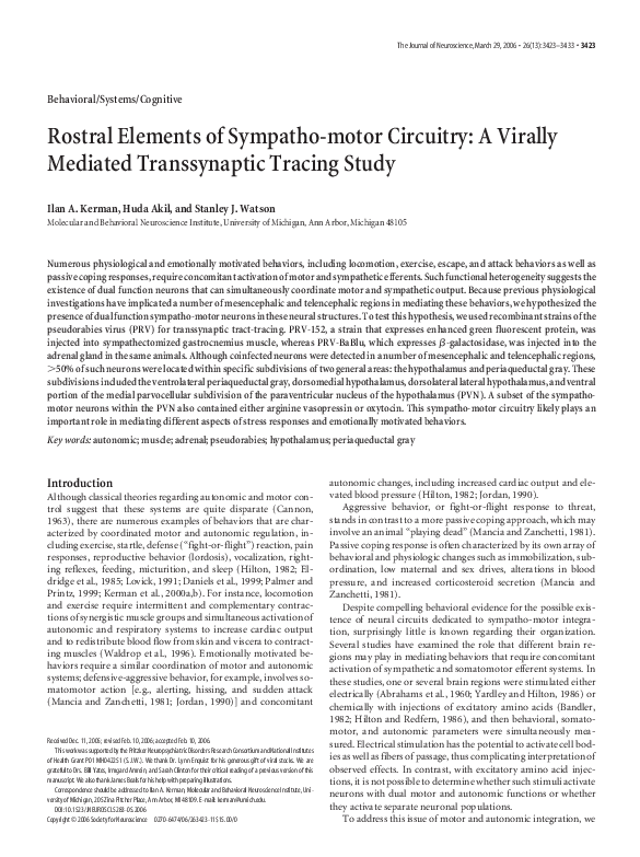 (PDF) Rostral Elements of Sympatho-motor Circuitry: A Virally Mediated ...