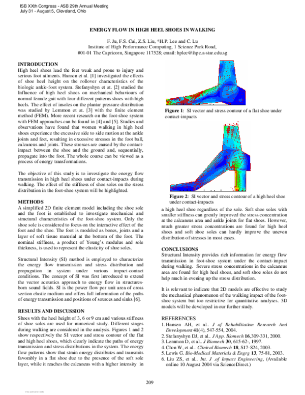 (PDF) Energy Flow in High Heel Shoes in Walking