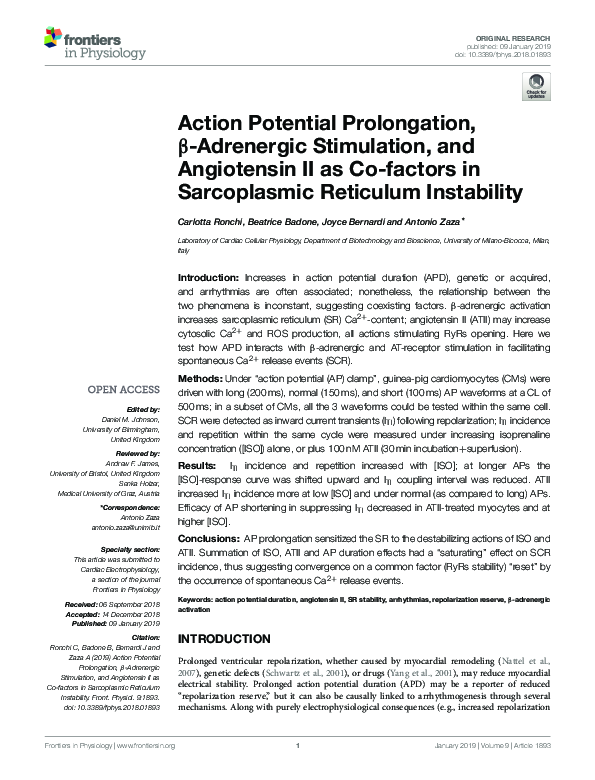 (PDF) Action Potential Prolongation, β-Adrenergic Stimulation, and ...