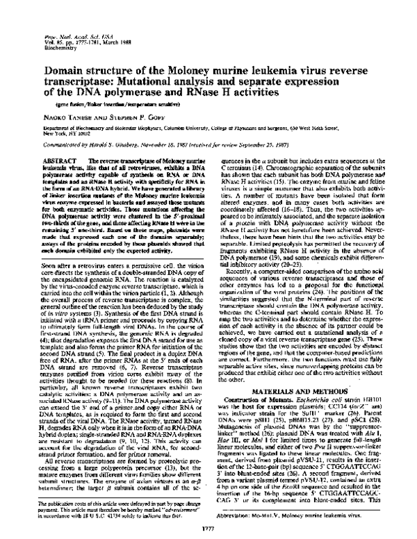 (PDF) Mutational Analysis of MMLV Reverse Transcriptase