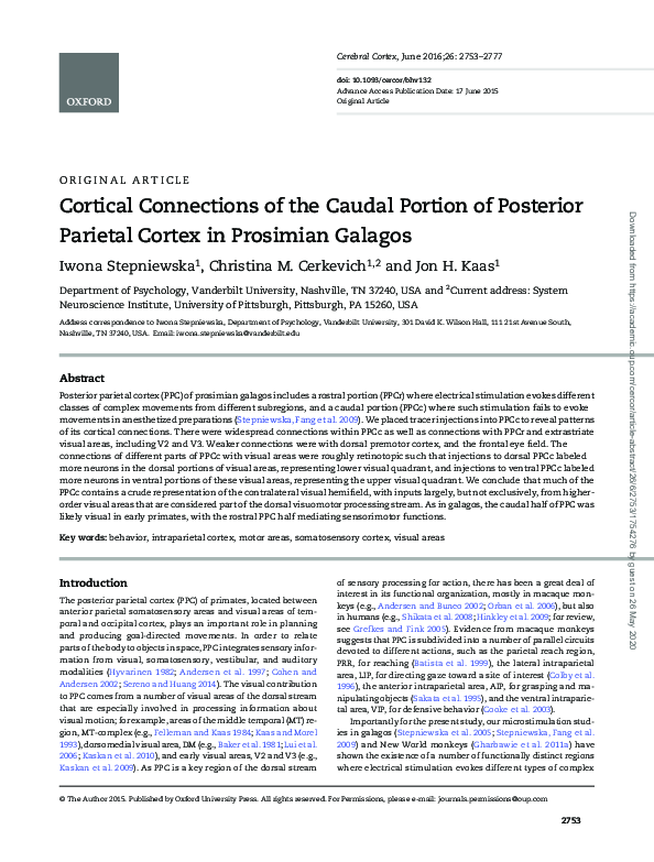 (PDF) Cortical Connections of the Caudal Portion of Posterior Parietal ...