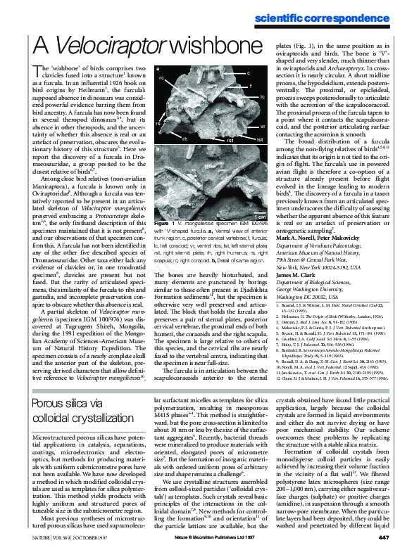 (PDF) A Velociraptor wishbone | Peter Makovicky - Academia.edu