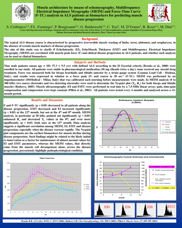 (PDF) Muscle architecture by means of echomyography, multifrequency ...