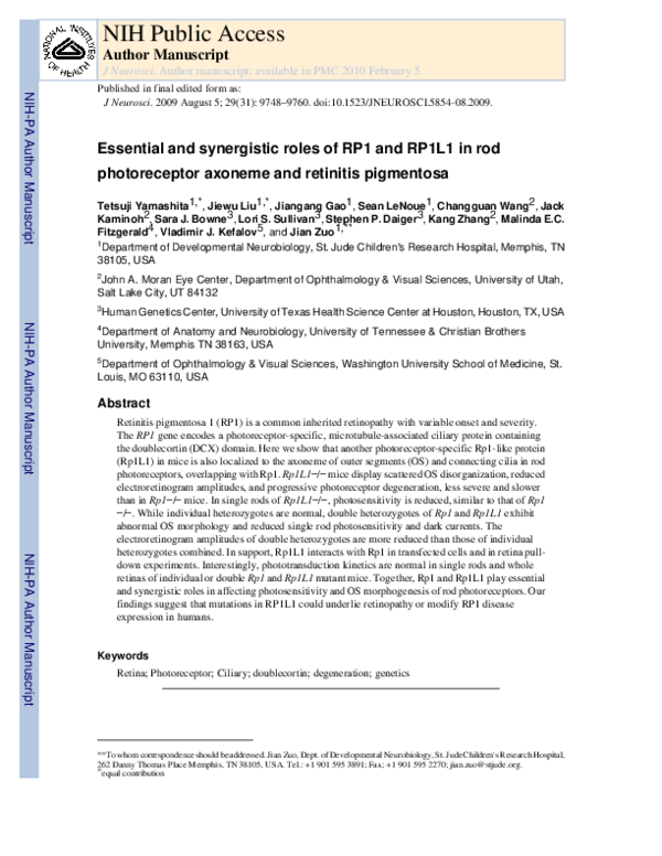 (PDF) Essential and Synergistic Roles of RP1 and RP1L1 in Rod ...