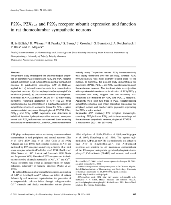 (PDF) P2X2, P2X2-2 and P2X5 receptor subunit expression and function in ...