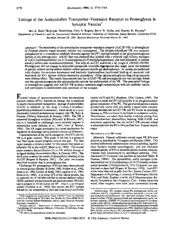 (PDF) Linkage of the acetylcholine transporter-vesamicol receptor to ...