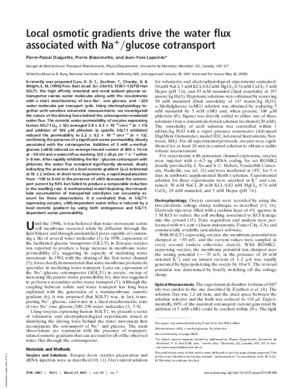 (PDF) Local osmotic gradients drive the water flux associated with Na+ ...